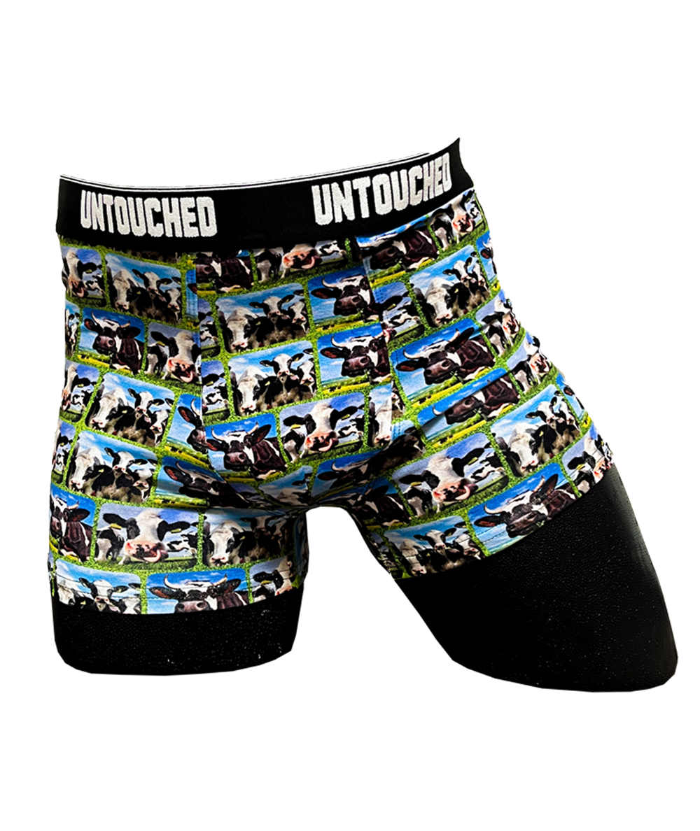 Untouched Cow Boxer - Livestock Show Equipment