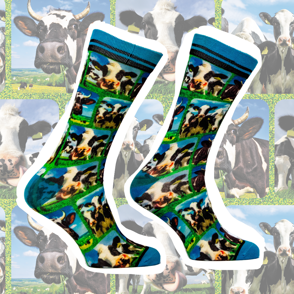 Sock my cow - Livestock Show Equipment