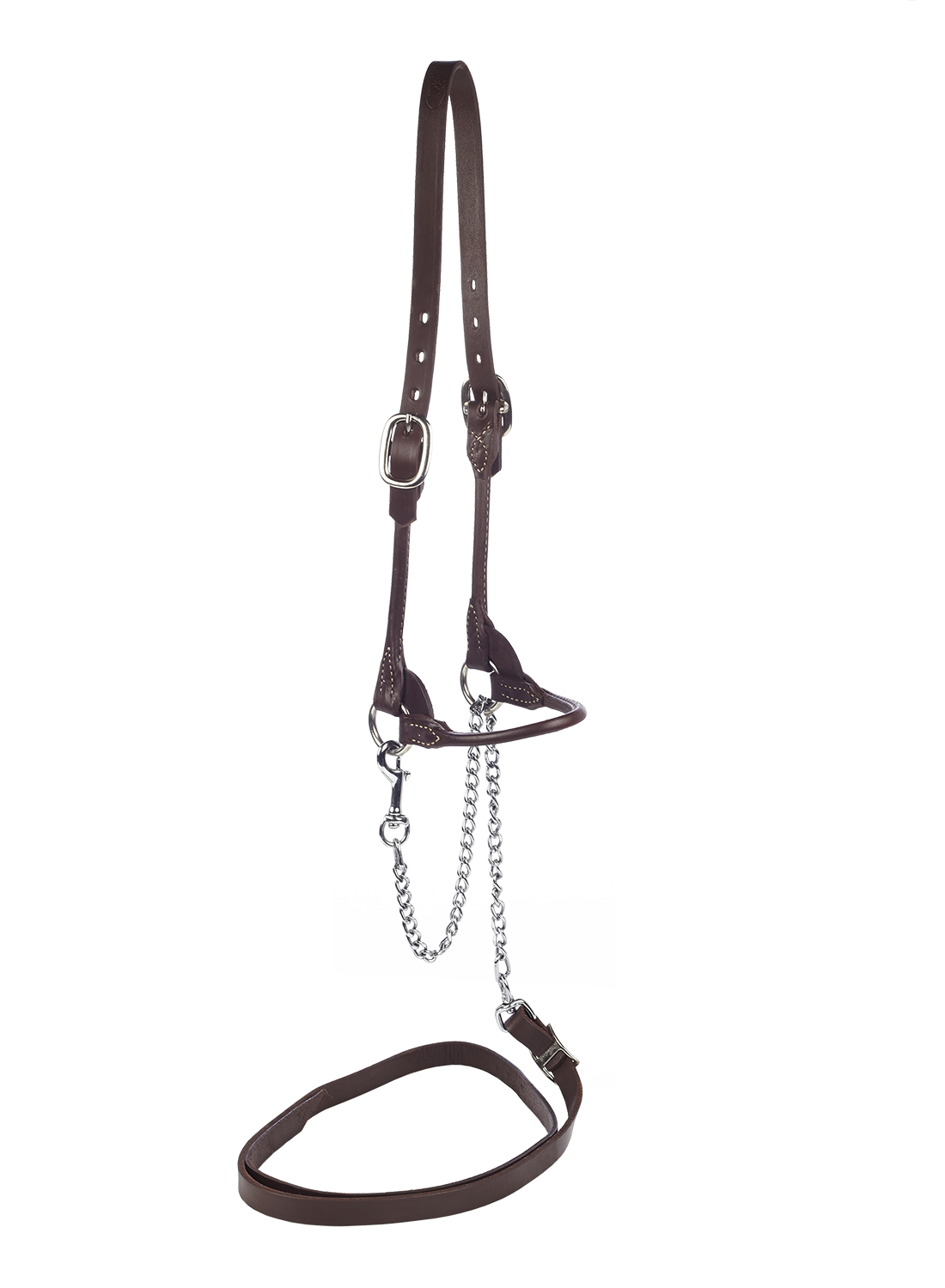 Show halter Red slimline 2 buckle - Livestock Show Equipment