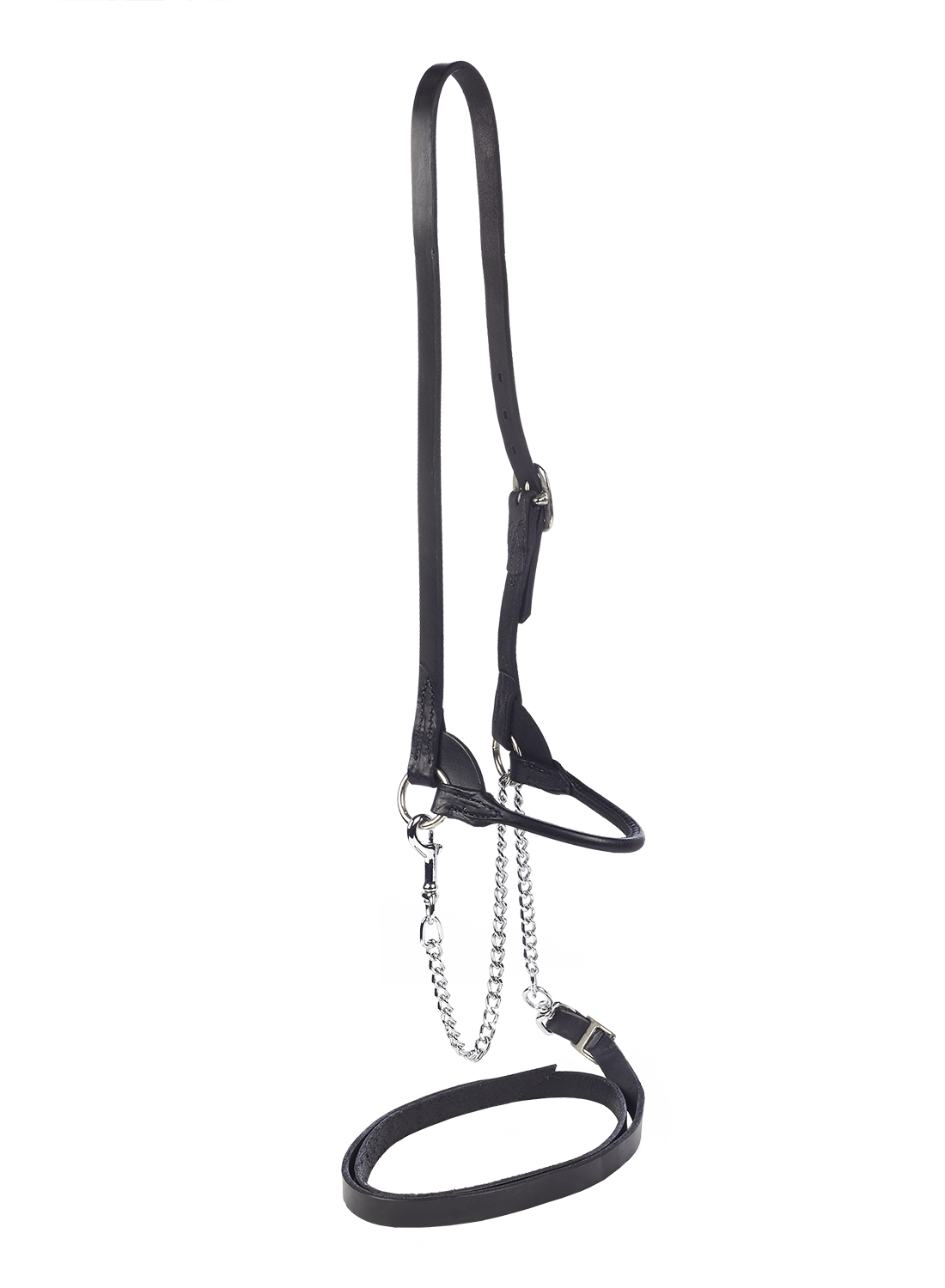 Show halter Black slimline 1 buckle - Livestock Show Equipment