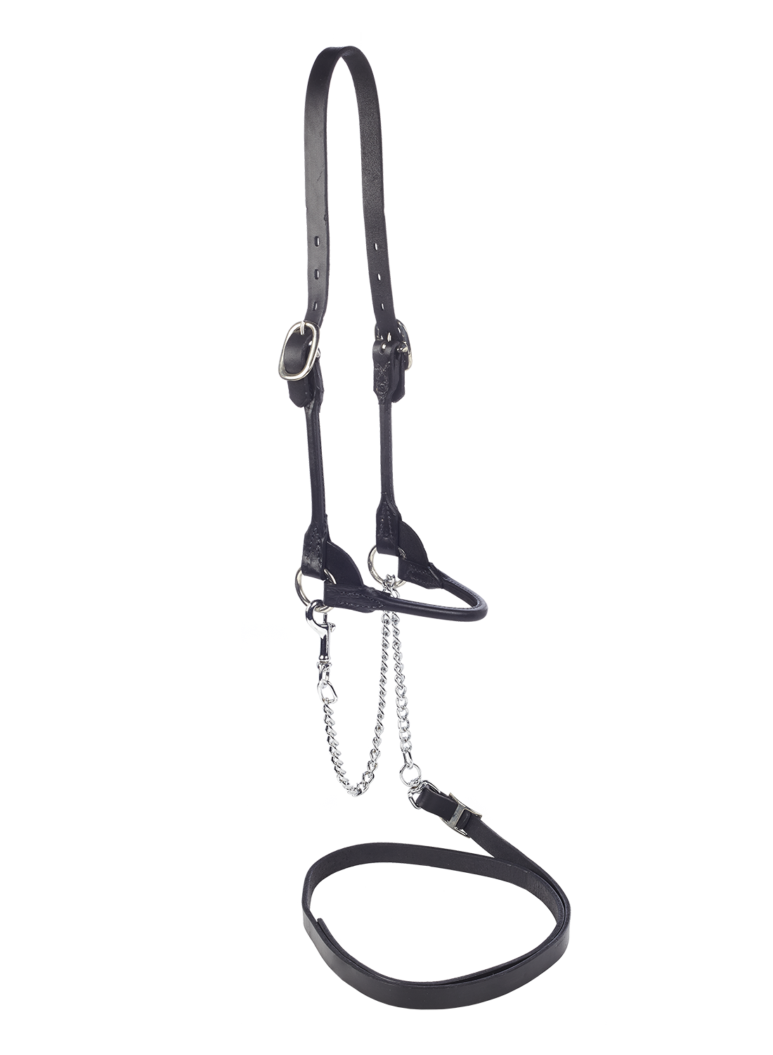 Show Halter Black Slimline 2 Buckle - Livestock Show Equipment