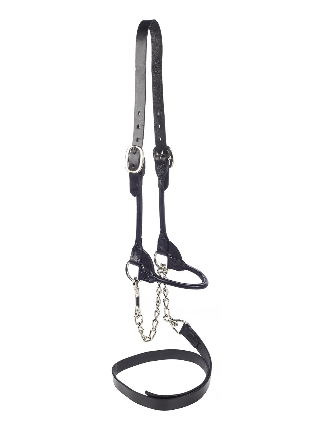 Show Halter Black Regular - Livestock Show Equipment